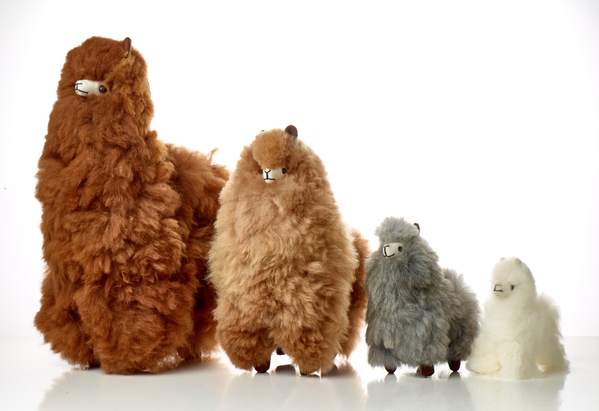 Alpaca stuffies store